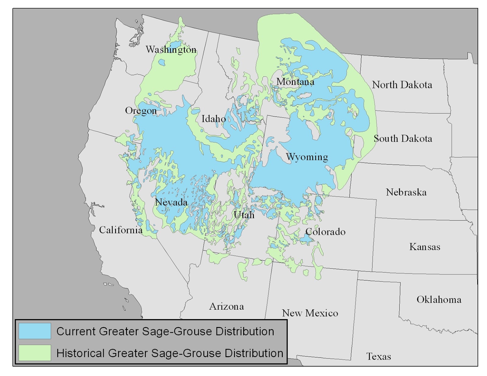 The Rural Blog: Guidelines issued for sage grouse conservation