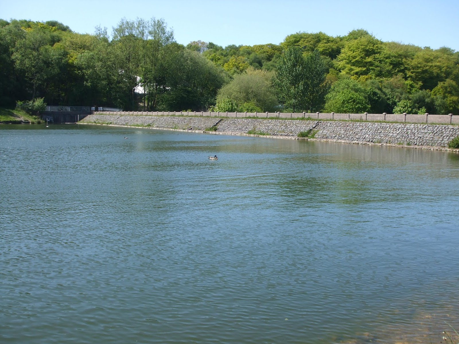 Lymetrent: Bathpool Park