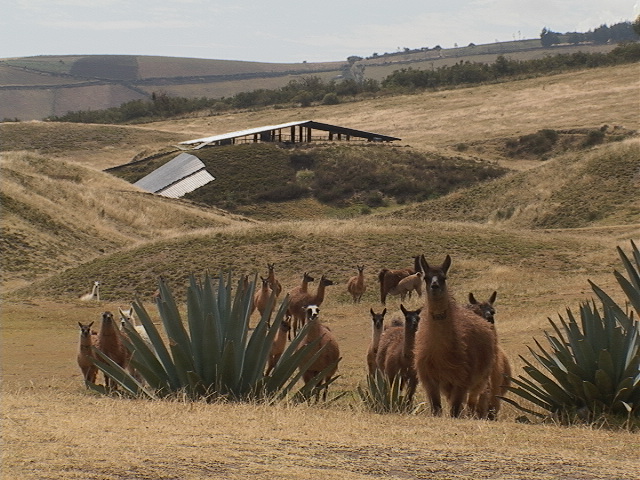 Parque Arqueológico Cochasqui: Parque Arqueológico Cochasquí
