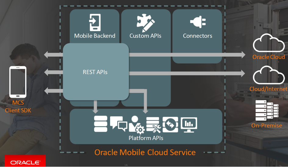 Oracle Applications Custom Development: 2015