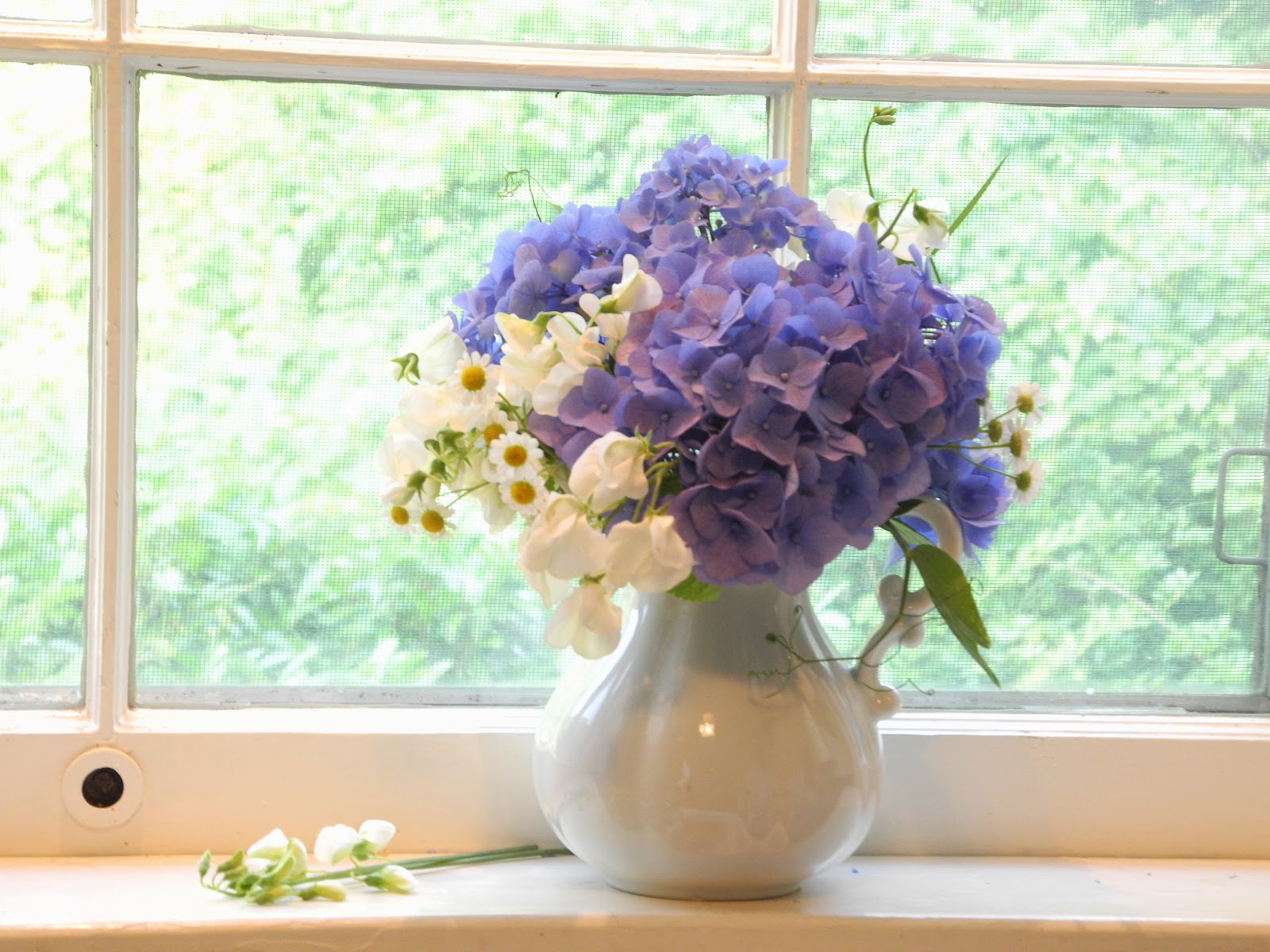 Windowsill Arranging: June 2012