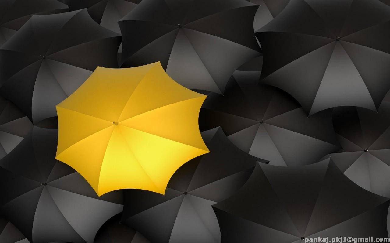 World Best Collection: Object Photography - 333