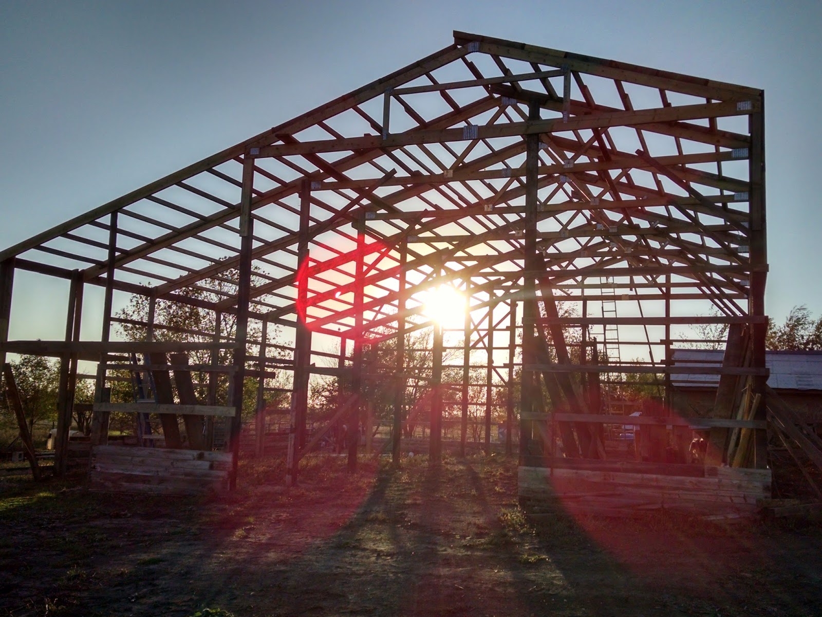 The Poor Farm: Full Freezers and an Empty Barn