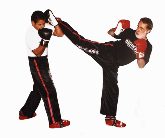 “K. O.” INTERNATIONAL COMBAT SPORTS: FULL CONTACT. Su Historia.