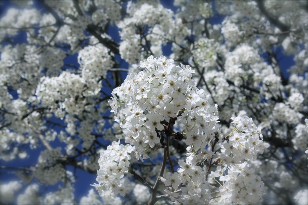 Flying into Spring with our Friends - Unity Blog