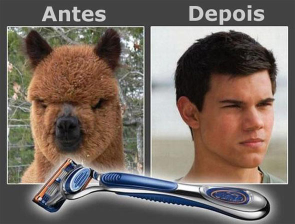 Jacob Black é LOBO de VERDADE! #Twilight | Derp