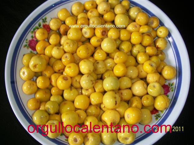 Soy de Tierra Caliente: Frutas - Olores, sabores y colores de Tierra ...