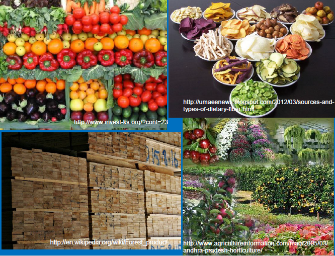 PRT2008 GROUP7: BAB 1 : APA ITU PERTANIAN MODEN