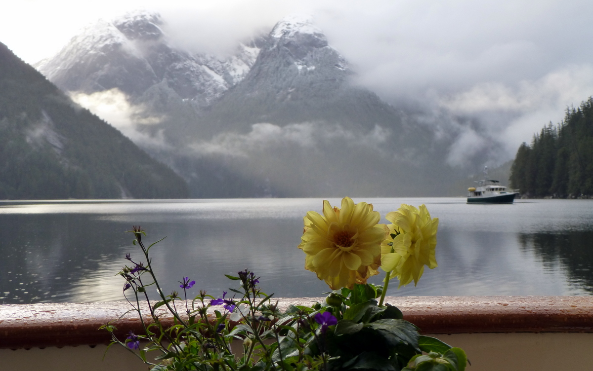 m/v WILD BLUE Cruising Blog: #12 Incredible Roscoe Inlet
