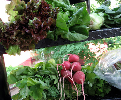 Farm share stories: First Picadilly CSA Box