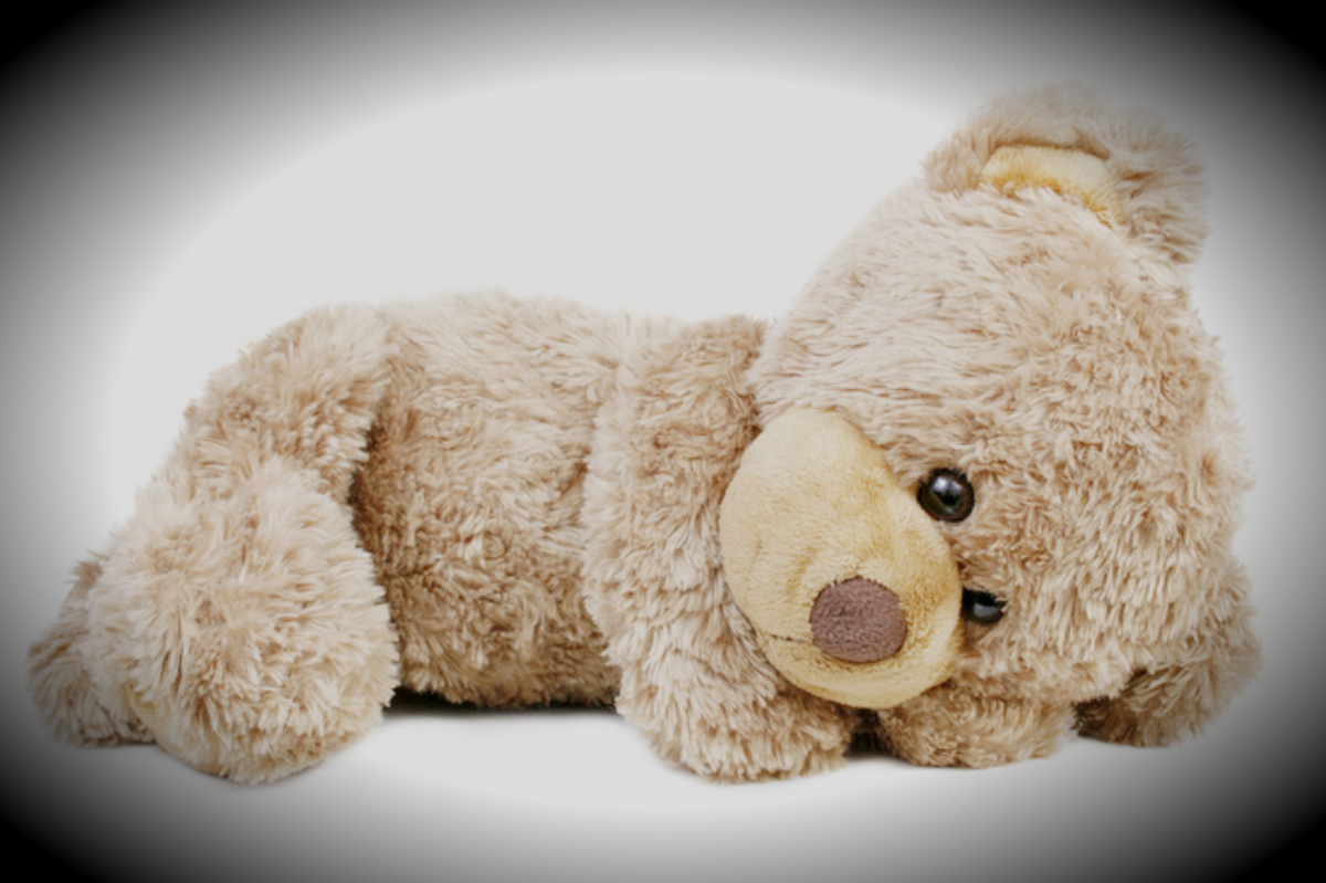 UK: Give A Lost Teddy A New Home This Christmas For Charity ...