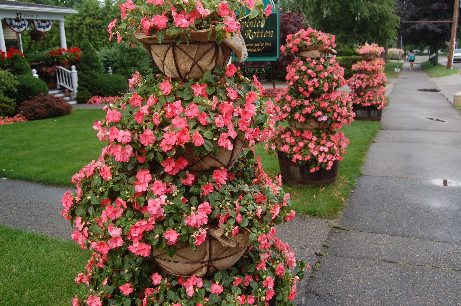 Sprouts: Flowers Around Town: Ogunquit, Maine on July 4th
