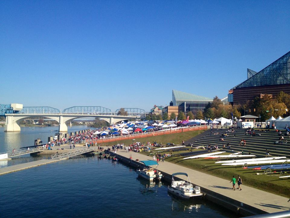 French Press Tights: Row Tide!*