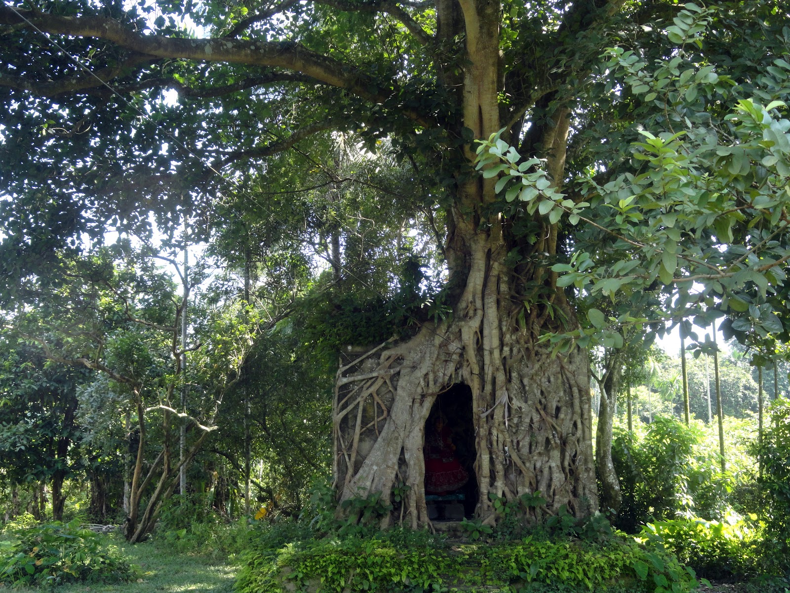 GANGARIDAI:KINGDOM OF THE LEGEND.