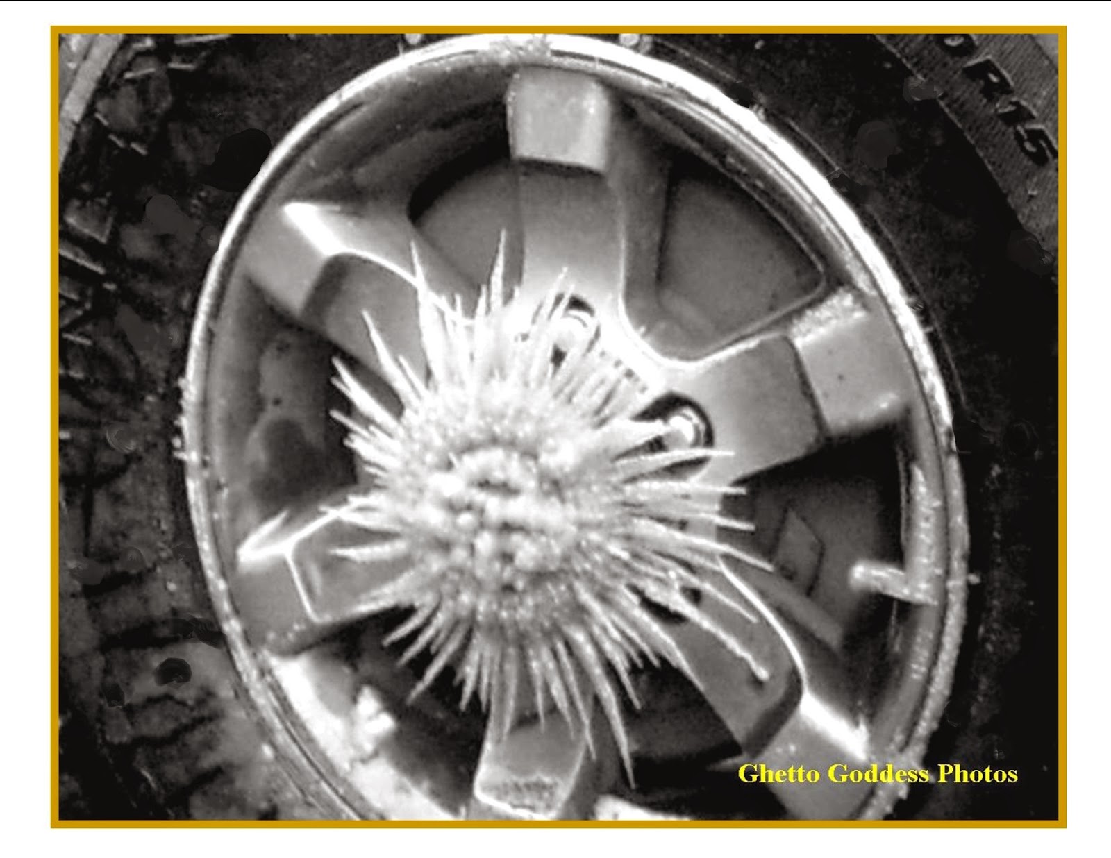 wildwheatINK (wwINK) - Where Writers Get Published