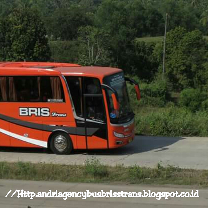 bus pariwisata Bris Trans 08998385846 - 082220277709 - 087777146999 ...