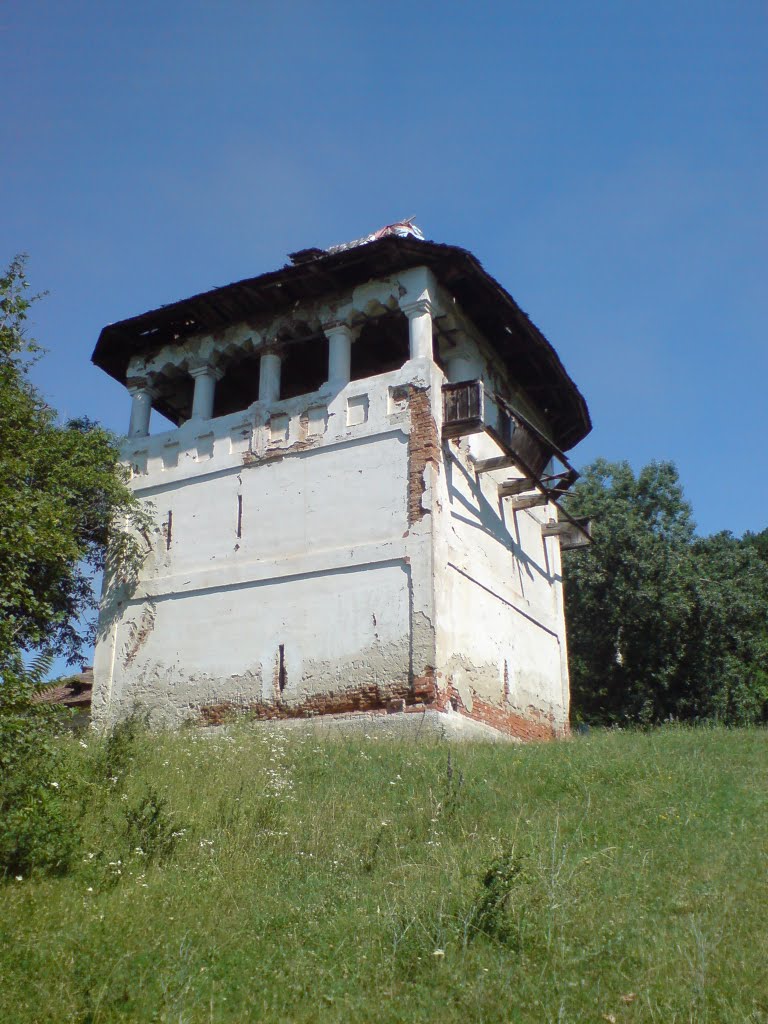 MONUMENTE ISTORICE DIN ROMANIA : Cule din Romania