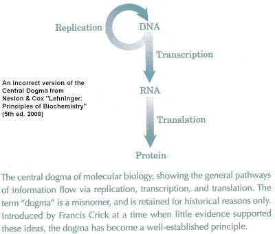 Sandwalk: Thinking critically about the Central Dogma of Molecular Biology