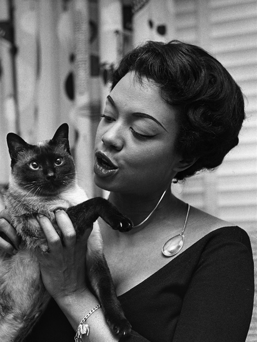 The Horn Section: The Horn Section Salutes: HAZEL SCOTT (1920-1981)