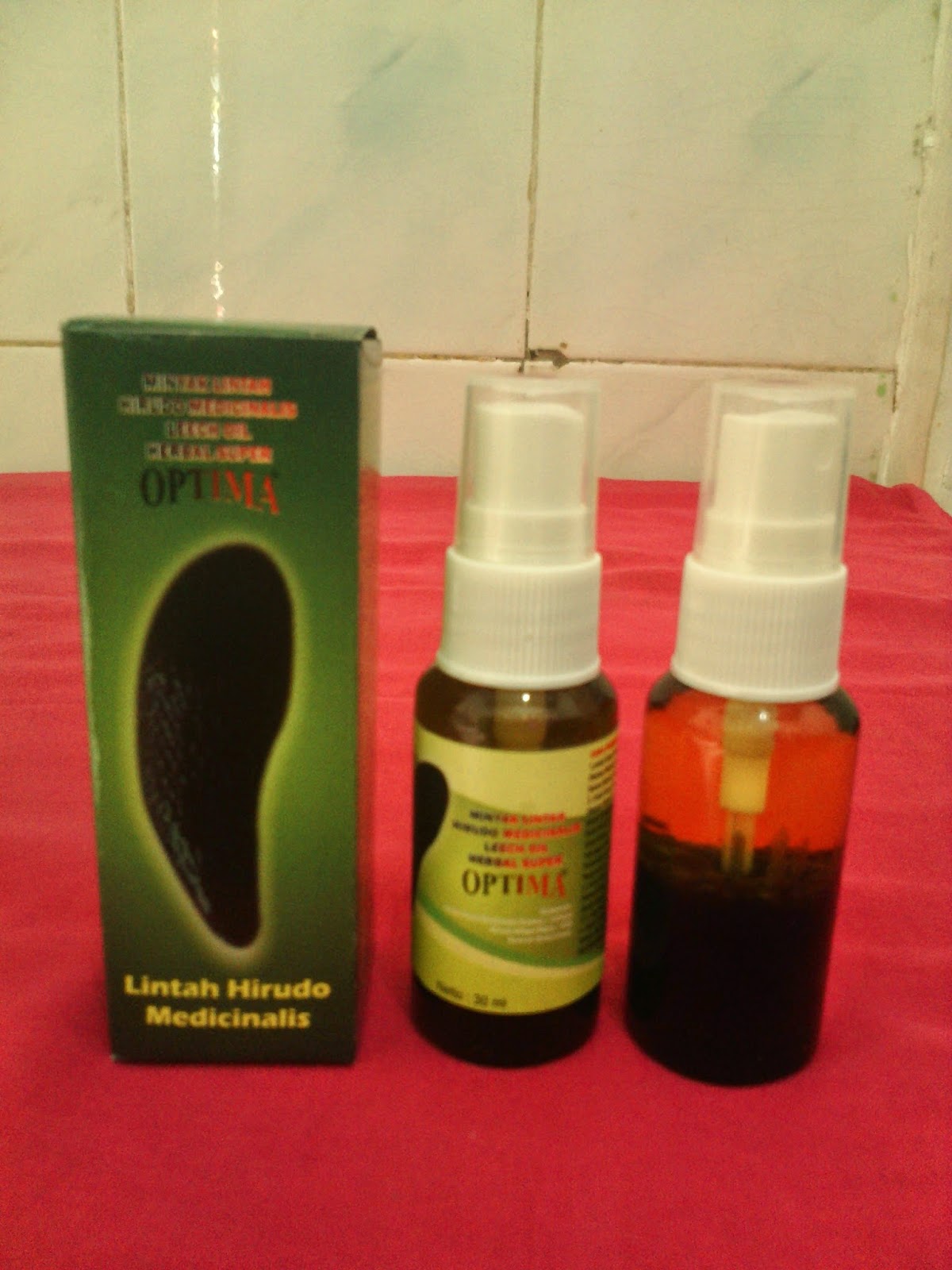 LINTAH TERAPI, MINYAK LINTAH, LINTAH HIRUDO MEDICINALIS, LINTAH KERING ...