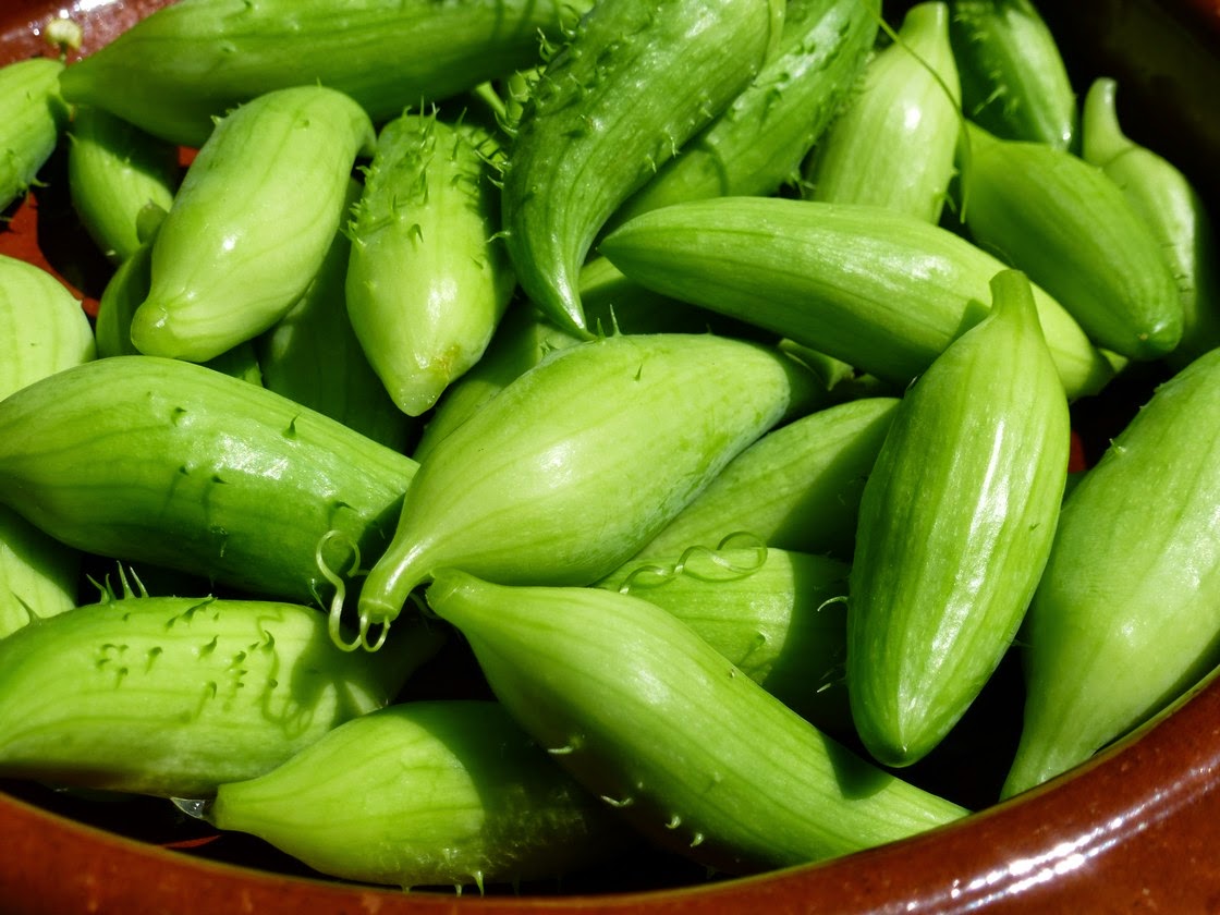 Hotel Posada del Valle: Caiguas grow in Asturias and they taste lovely.