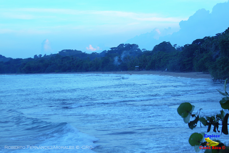 Playa Cocles de Limón | Explore Costa Rica