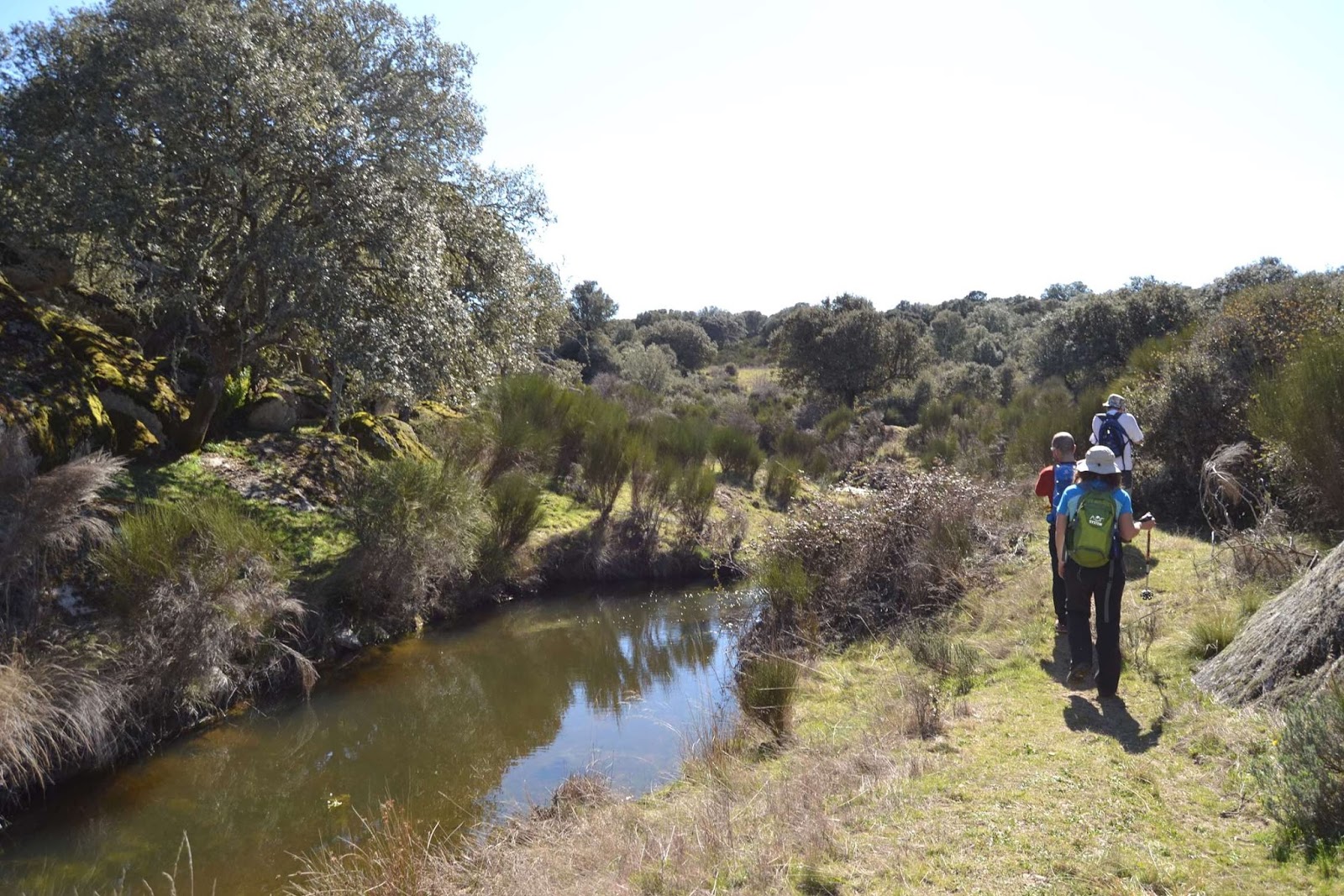 Posibles orígenes del nombre de Sayago