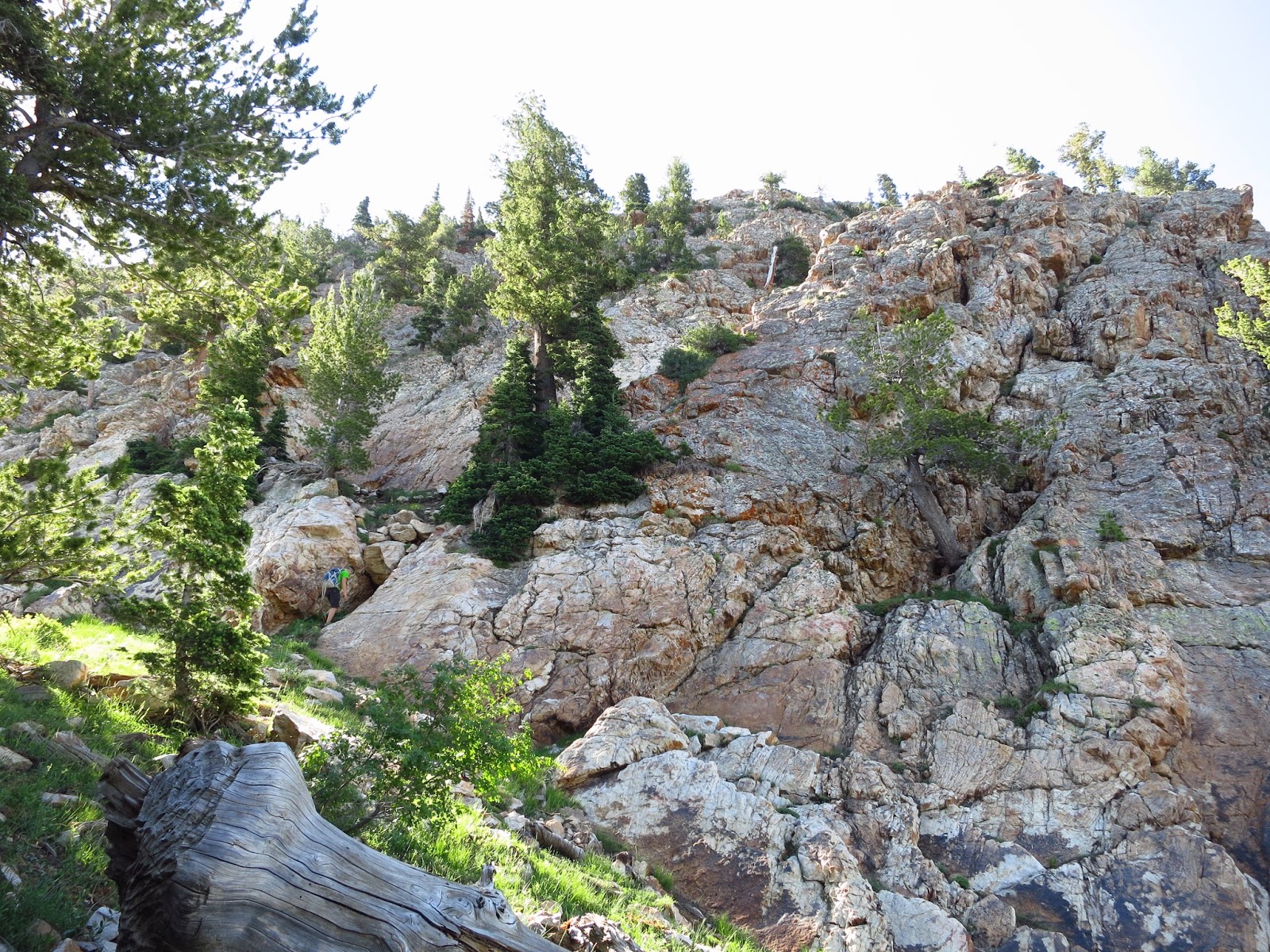 Everything For The Outdoors: Trip Report: West Slabs of Mt. Olympus