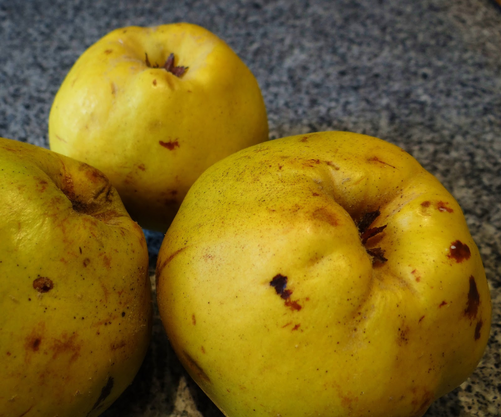 Brev från Servian: kvittenmarmelad...