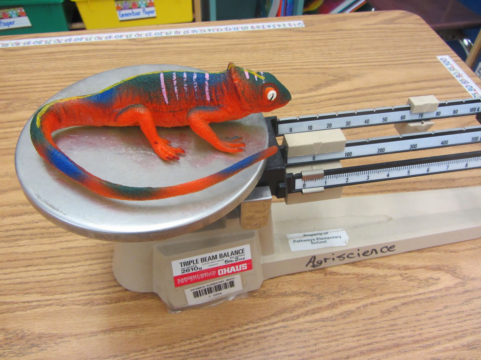 Buddy World Elementary: Slim the Lizard Science Experiment