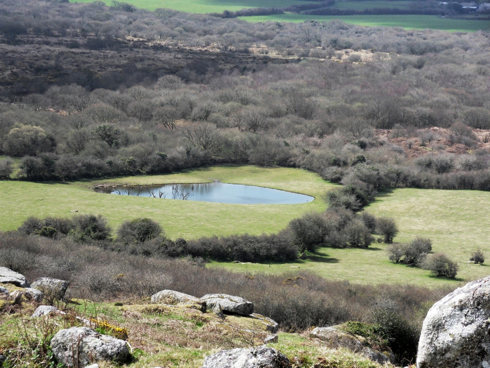 67 Not Out: The Granite Dinosaur And Turtle Guarding Helman Tor Cornwall