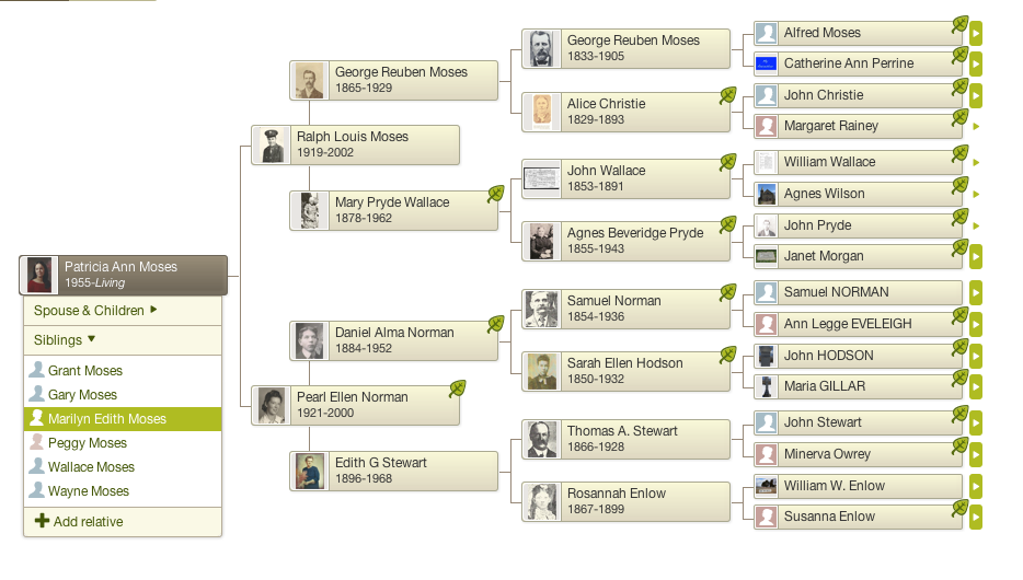 Moses Family History: My Family Pedigree Chart