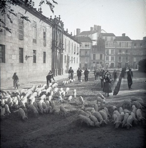 Los Grandes Fotografos: Ruth Matilda Anderson (1893-1983)