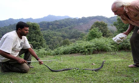 Saffron Tree: Interview: Gerry Martin, Naturalist and Conservationist