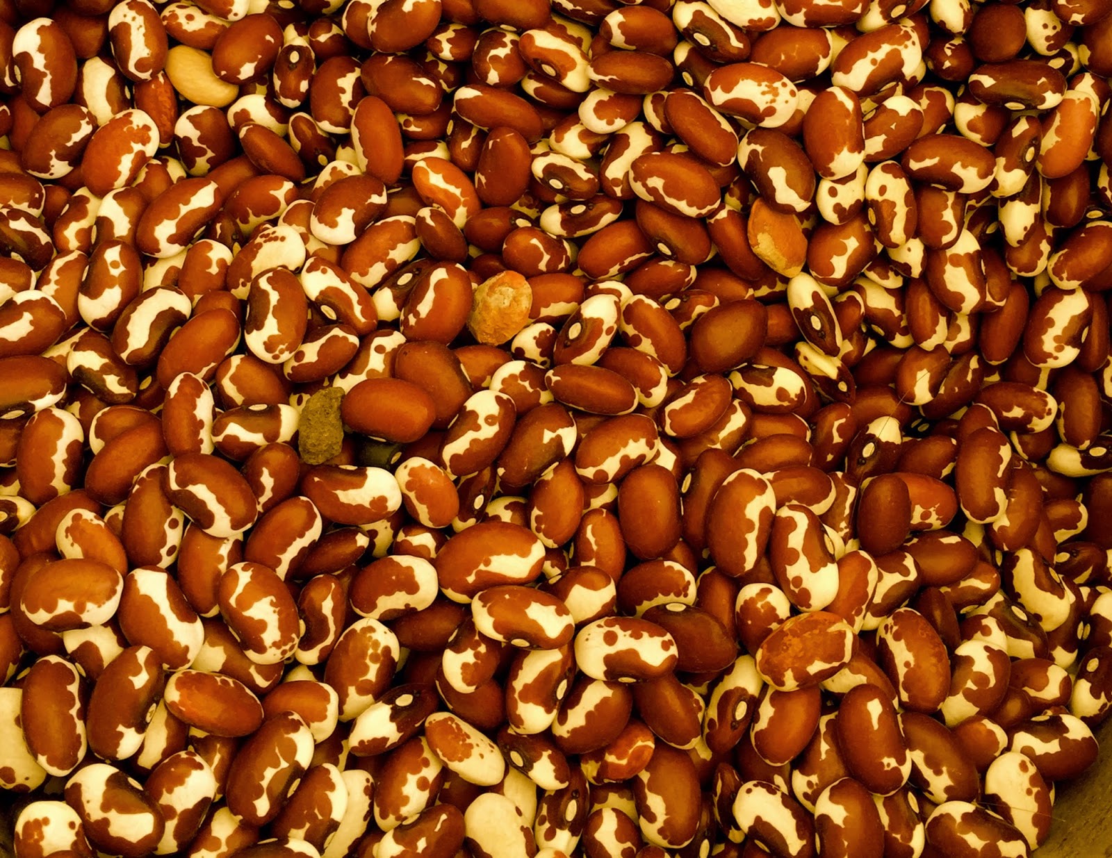 Bowl of Soul...: Fifty Shades of Red...