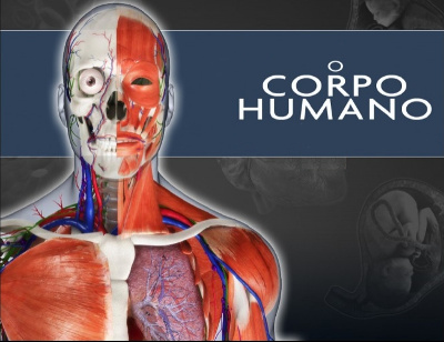 Ciências Para Curiosos: O Corpo Humano
