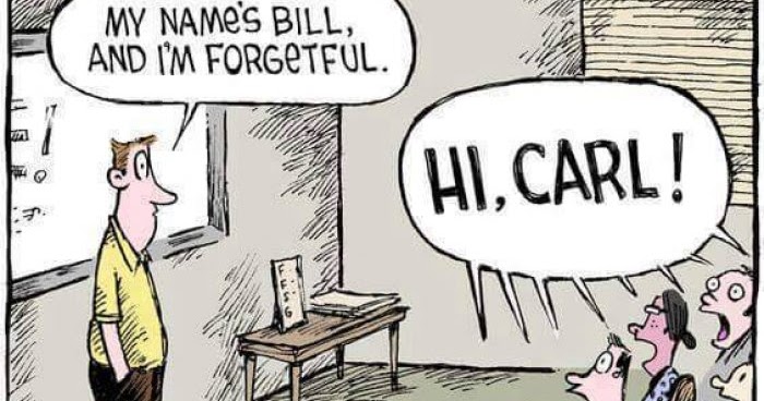 Procrastinating Donkey: My Life in Pictures