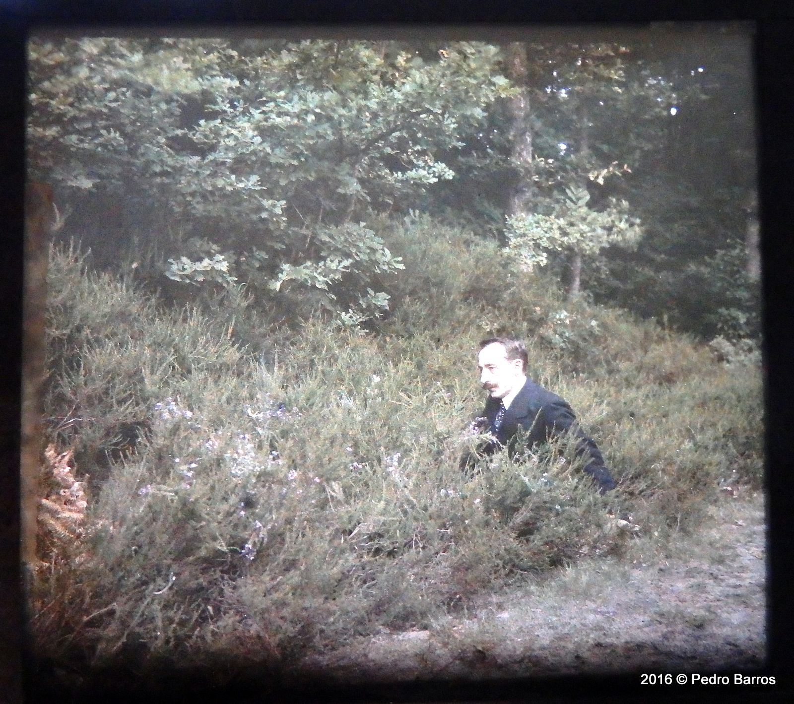 Collecting Cameras is my Life: Autochrome Lumiere - The first color ...