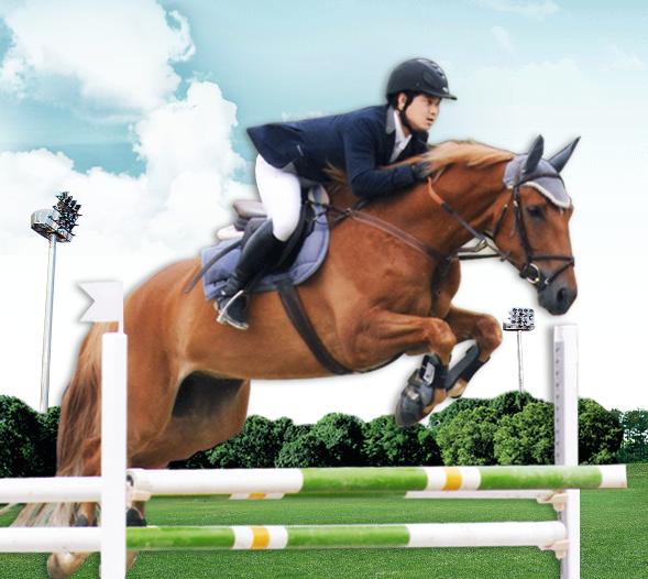 Daegu’s famous Horse Riding Clubs