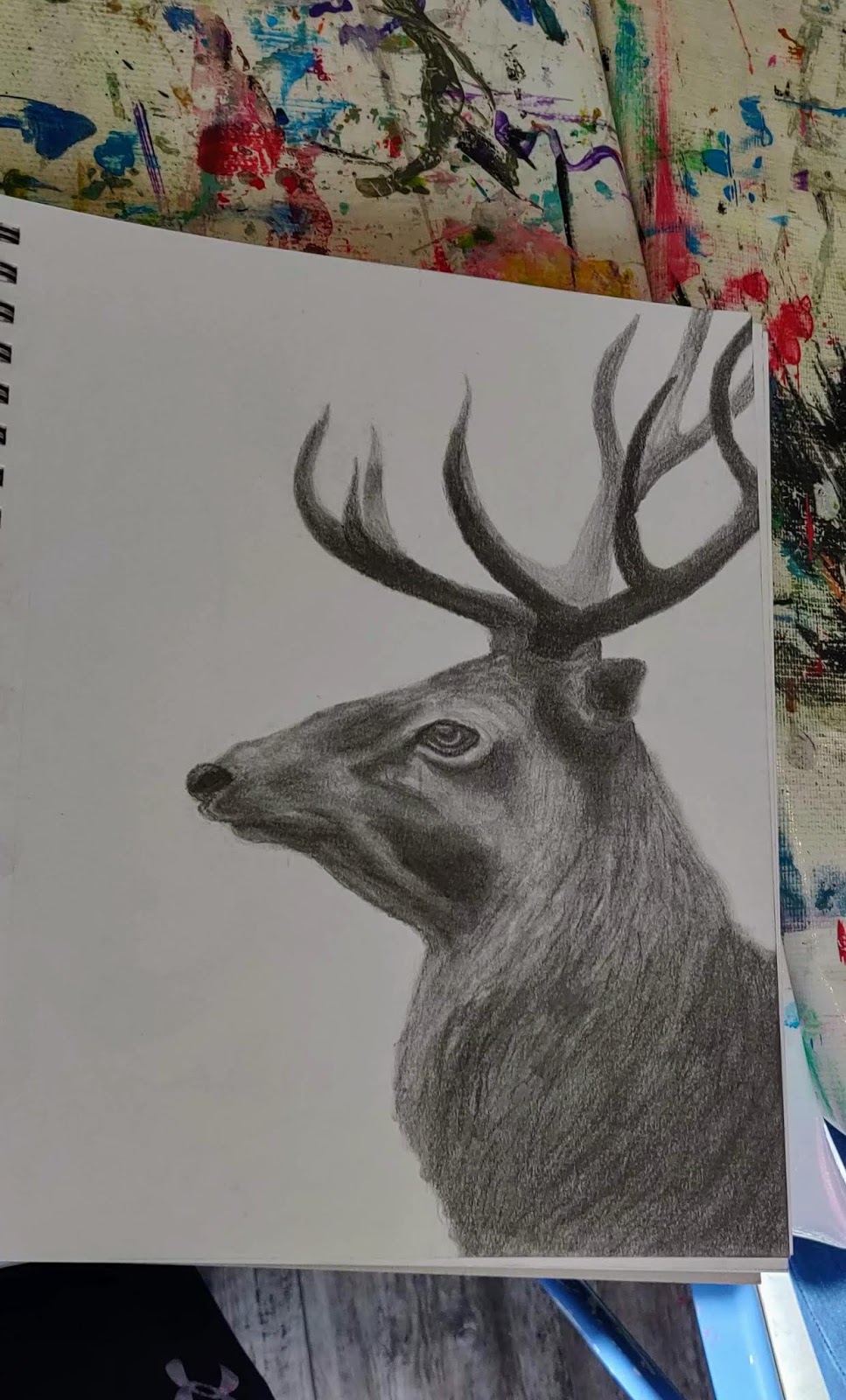 Riverwood Studio: Intermediate Art Student Gallery