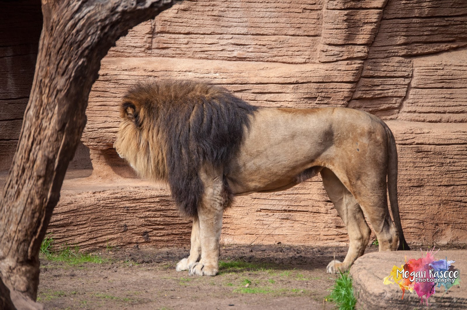 can I decide another day?: Riverbank Zoo (Photos)