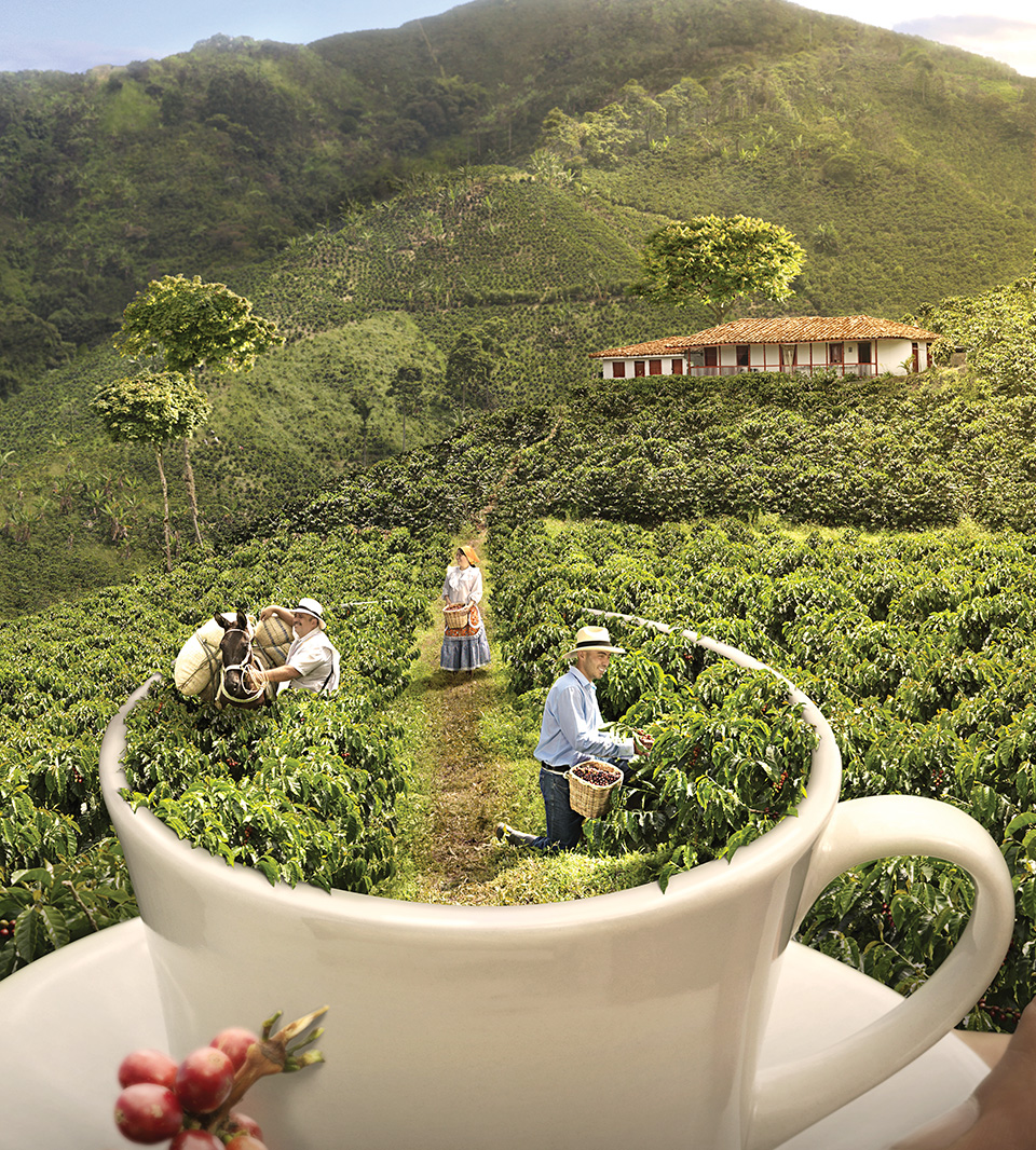 Clases con Sabor: EJE CAFETERO