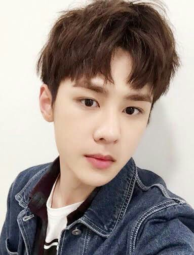 Kun ( NCT ) Biography, Body Statistics, Family, Career, Affairs ...