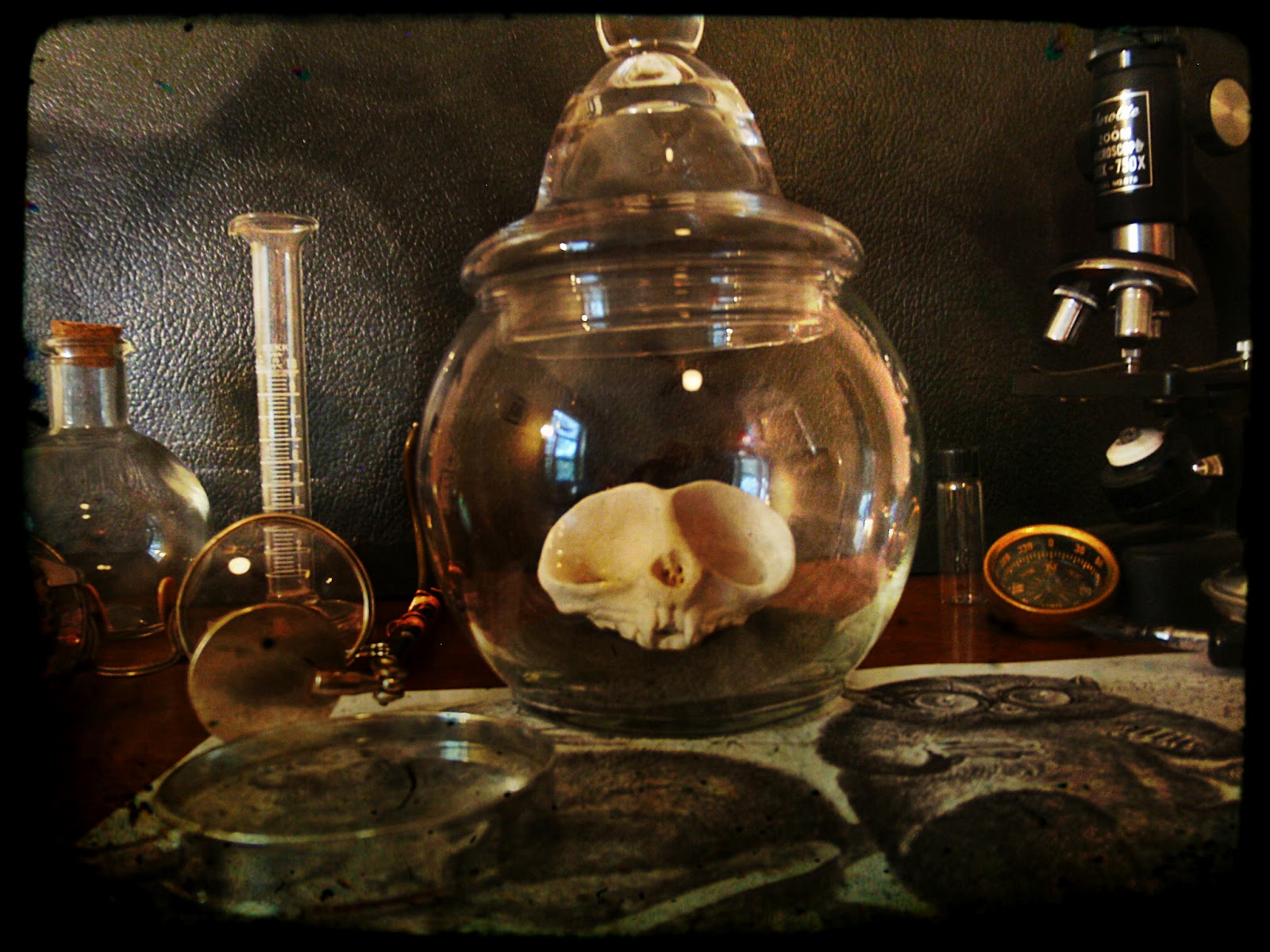 Monkey's Thumb: Victorian Replica Primate Tarsier Skull Steampunk Sculpture