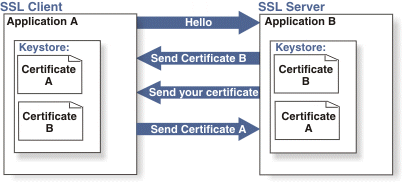 Sachini's TechThoughts: Mutual SSL (Two way SSL) with WSO2 Enterprise Service Bus