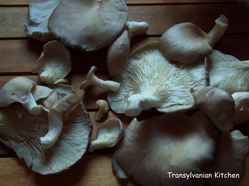 Transylvanian Kitchen: Ciuperci Pleurotus pane