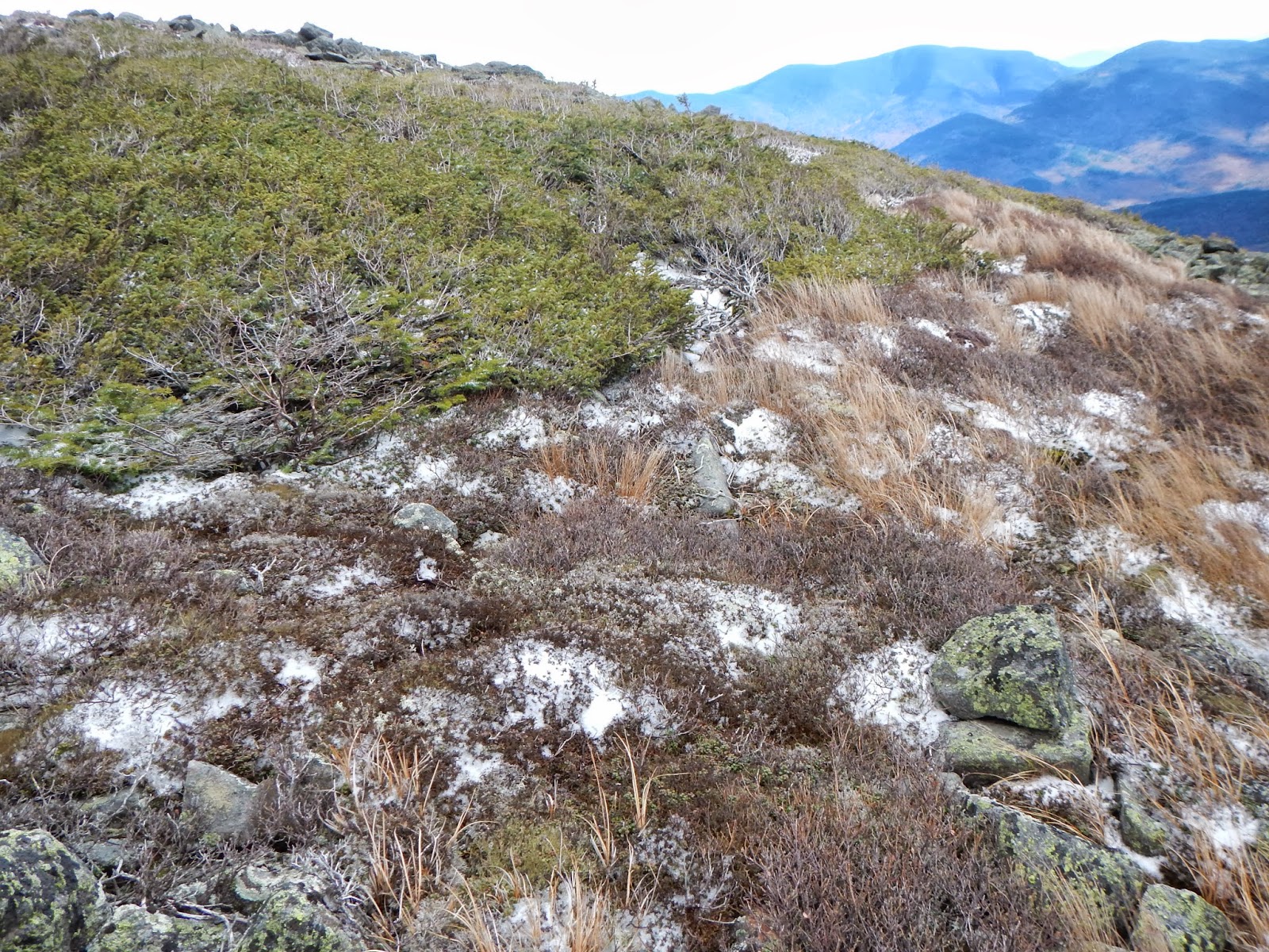 Hitting the Trails: 10/20/2013-10/21/2013 Mount Adams and The Great Gulf