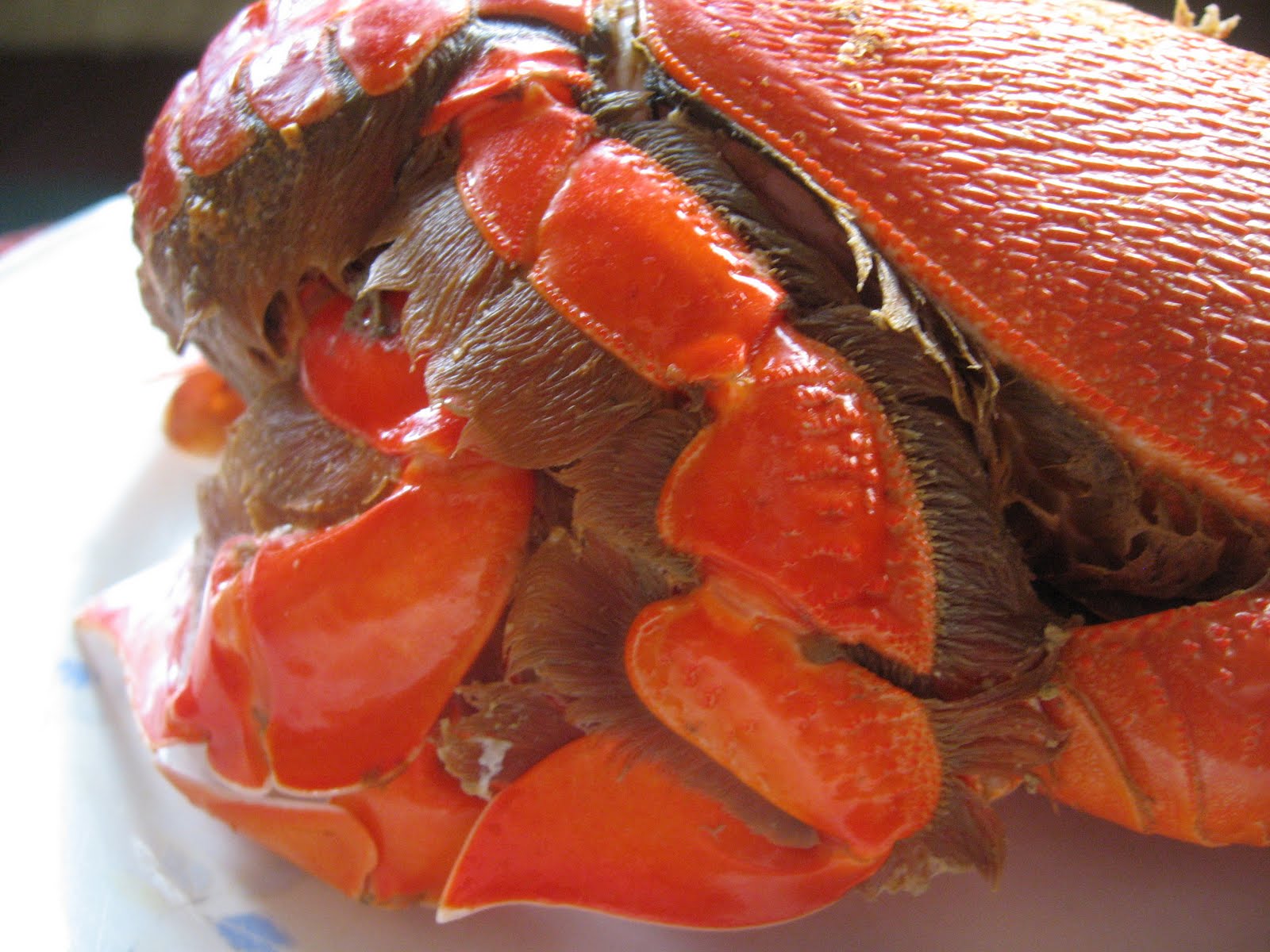 Eileen's Cooking and Eating Adventures: Curacha