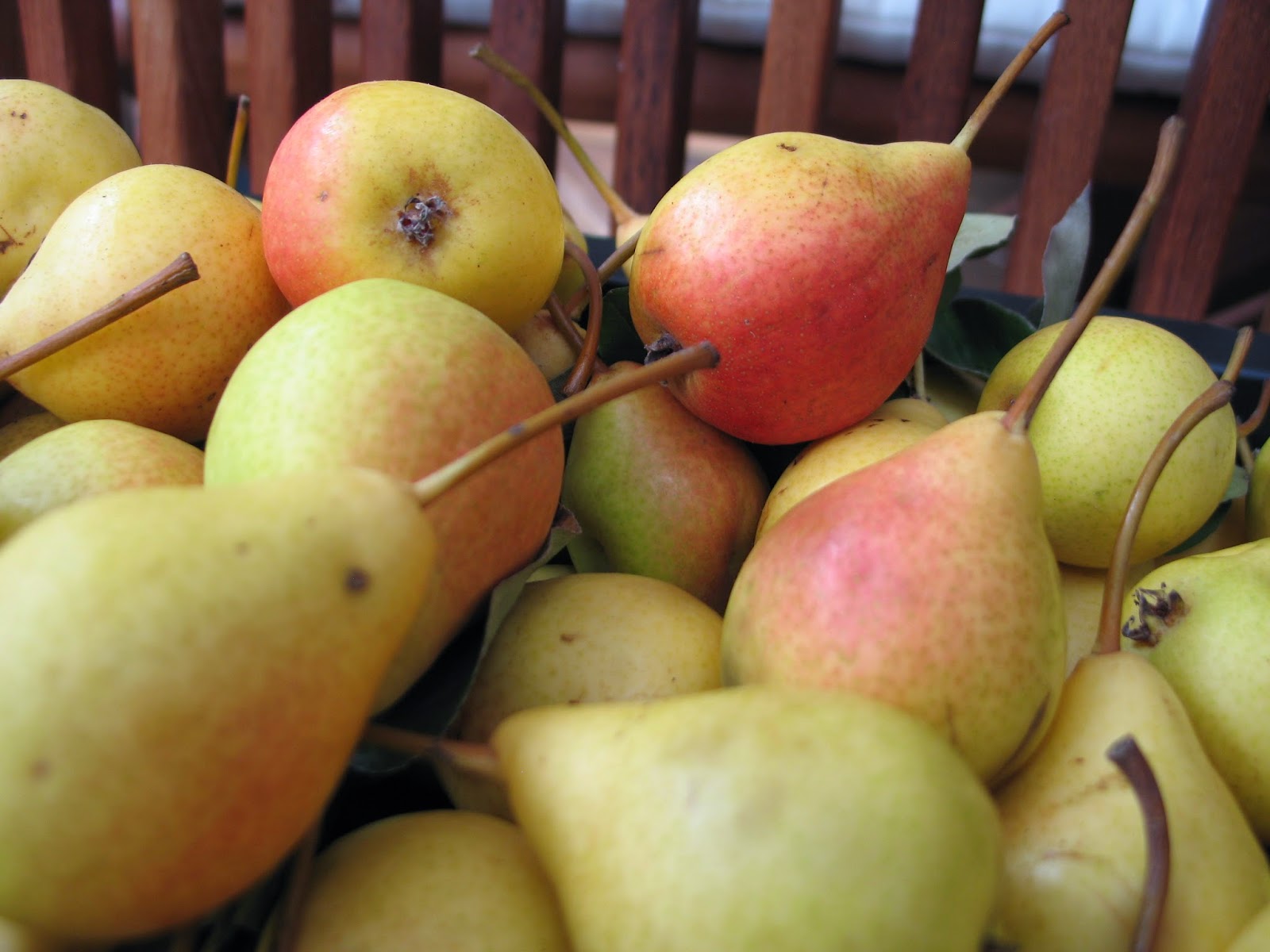 Non si fanno balletti in cucina: Sorbetto di pera moscatella