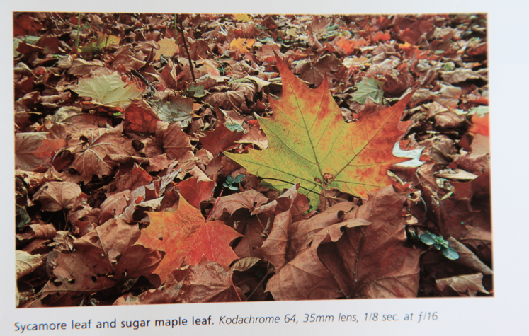 Ness Photography Level2: Research - John Shaw (theme 2)